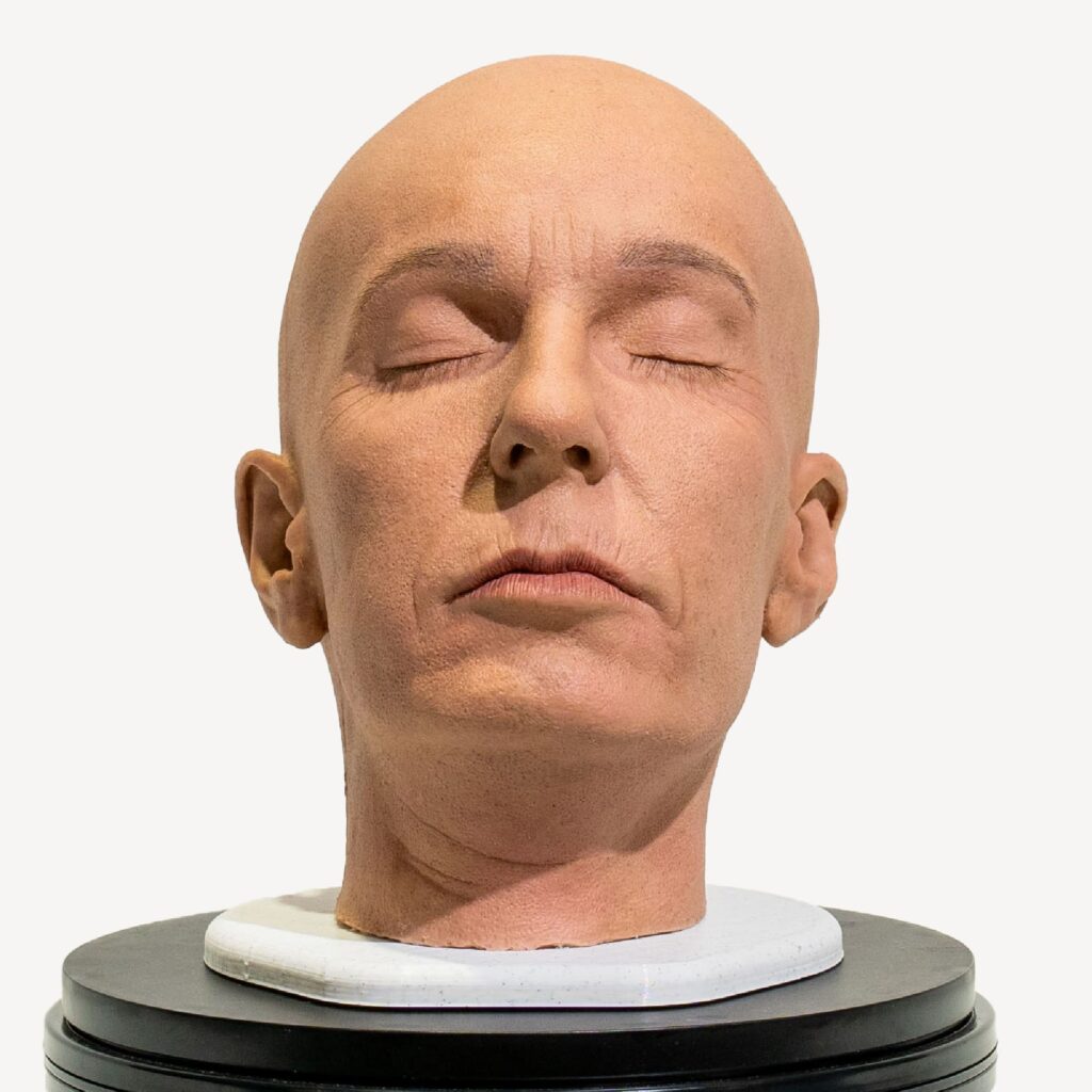 RealMed Simulators - Simuladores para práctica médica